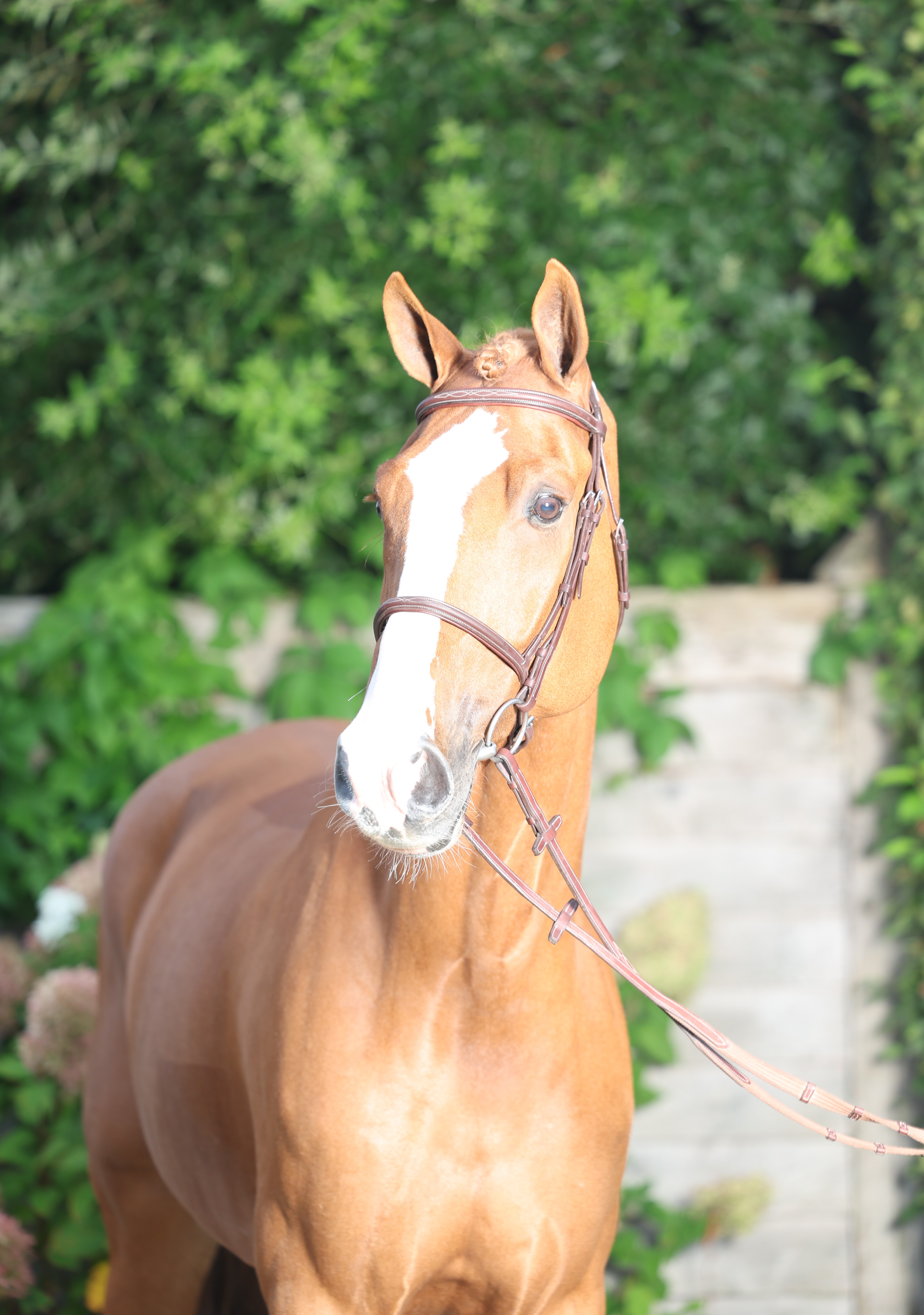 21. GOOD VIBES | Holger Hetzel